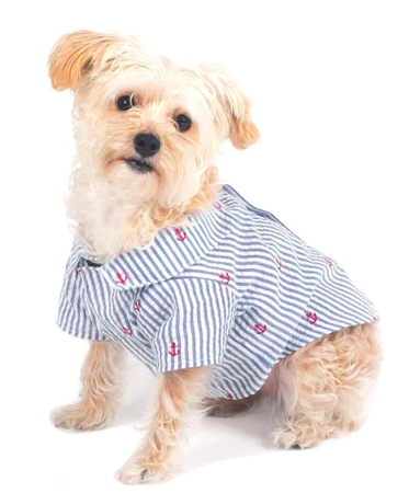 How To Choose The Right Dog Shirt For Your Pet: For Style And Comfort ...
