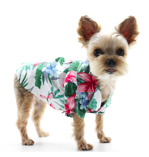 How To Choose The Right Dog Shirt For Your Pet: For Style And Comfort ...